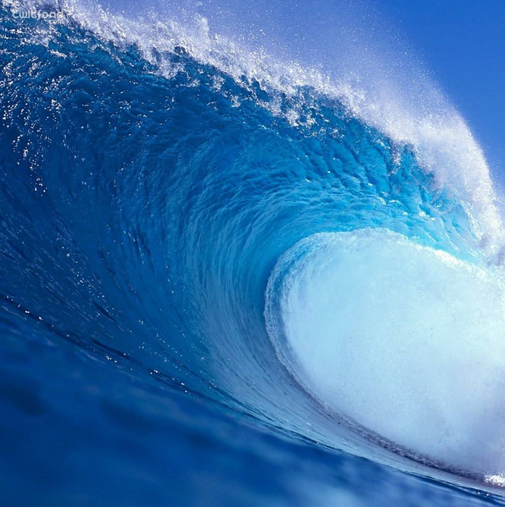 Ocean-vague-rouleau2 - Foires & Salons en Vendée et Loire-Atlantique